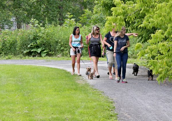 Hiking trails - Summer activity at Parc de la Gorge de Coaticook
